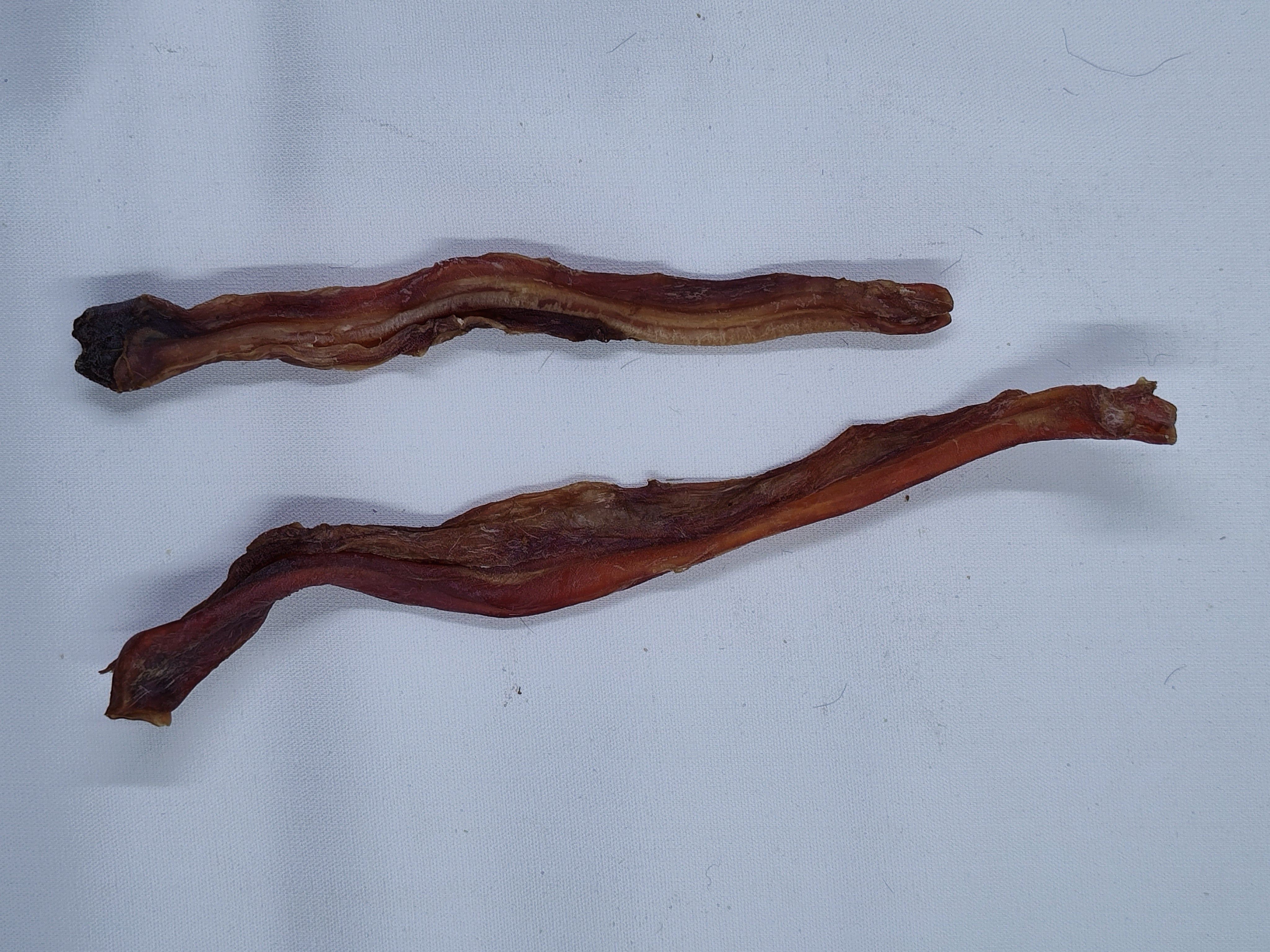 Kangaroo Tendons – Marvellous Mav & Friends Pet Treats